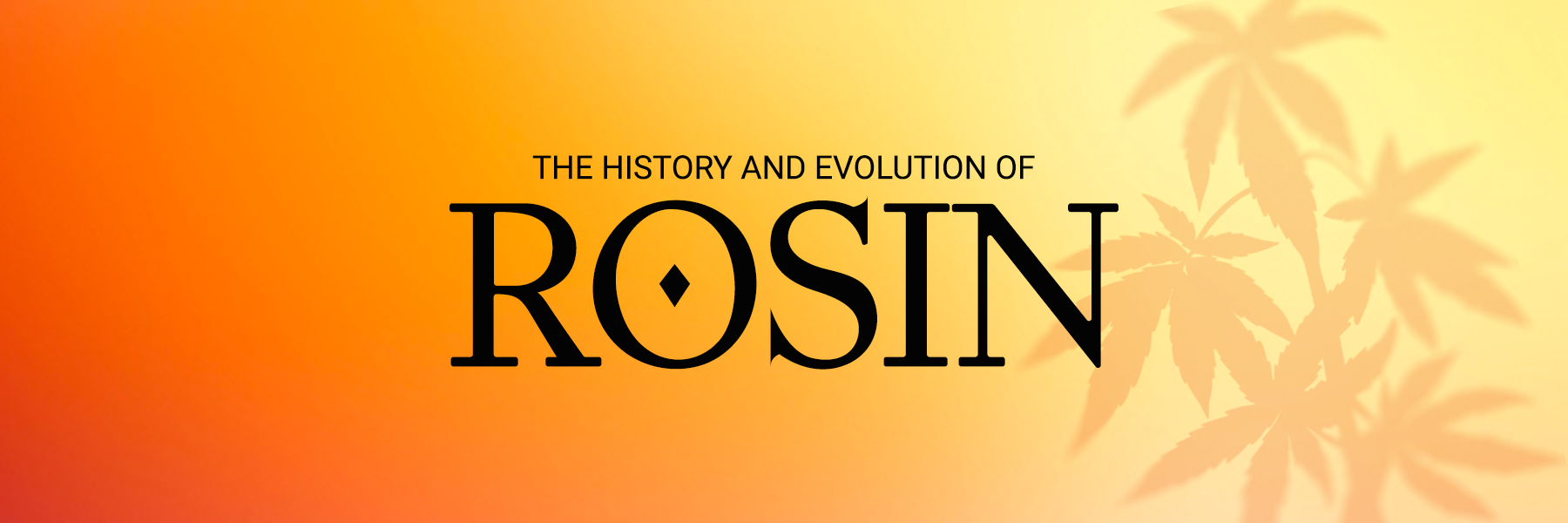 The History & Evolution of Rosin | Dispensary 33